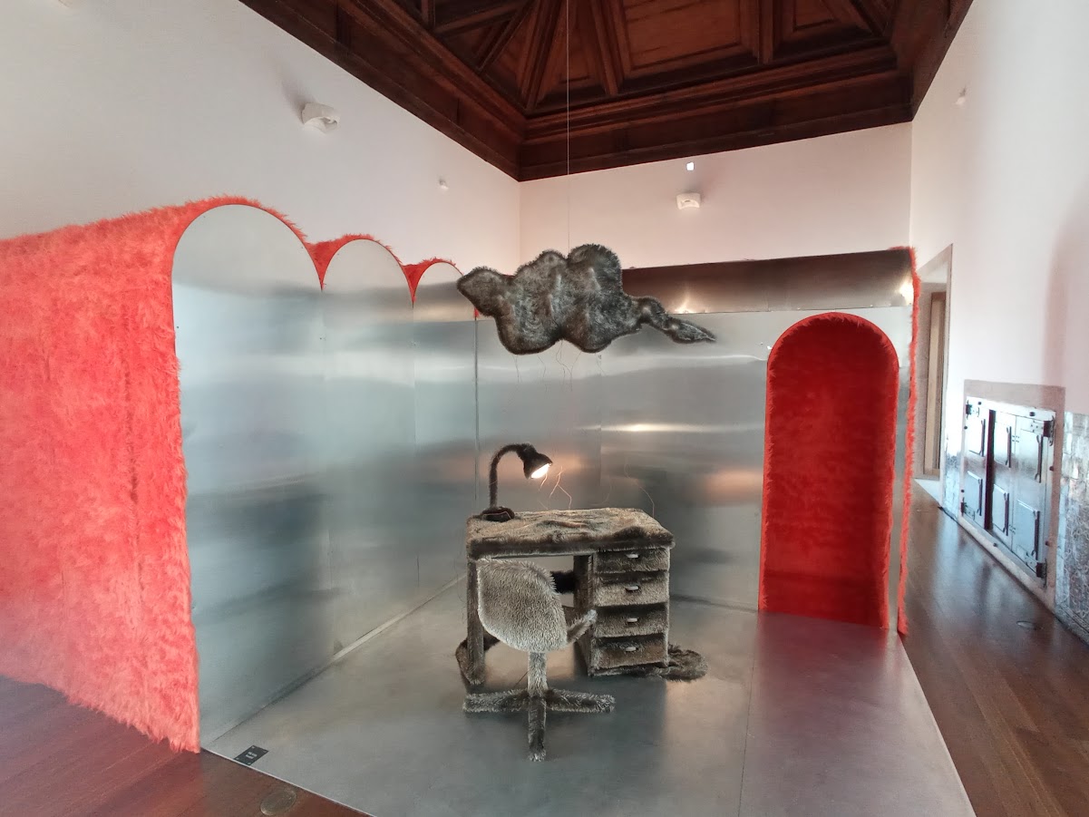 Instalações artísticas de Ângela Rocha apresentam “visões raras de ...