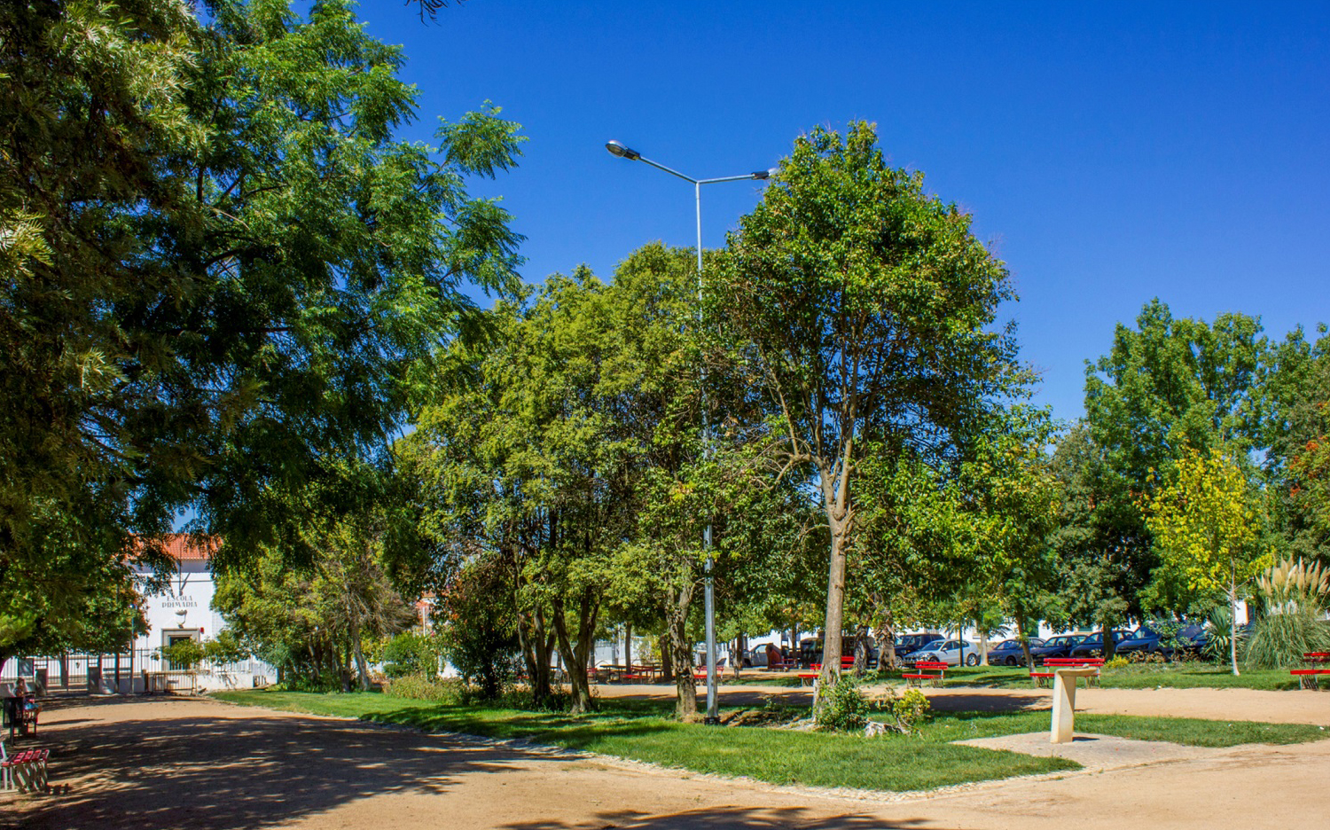 “Ruas que falam” dá a conhecer toponímia da cidade de Moura - Diário do Sul