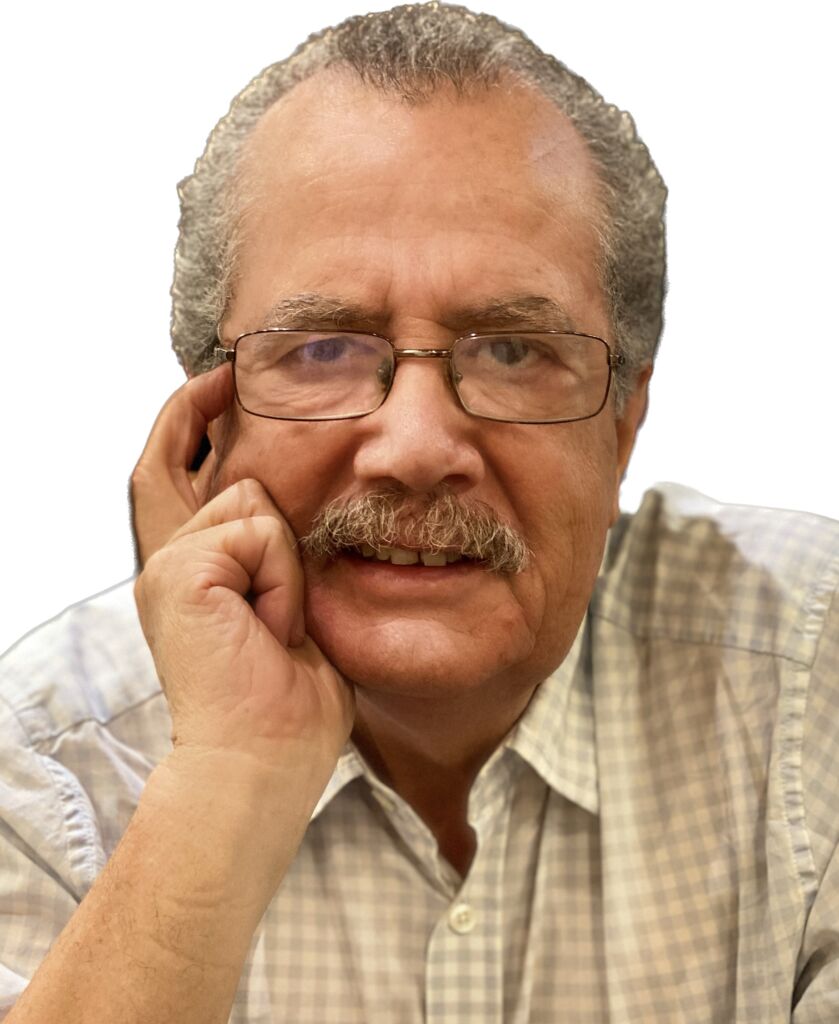 A falta de integração digital e de técnicos coloca o SNS em risco ...